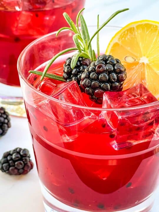 Fresh Blackberry Gin Bramble Cocktail Recipe - olivetavern.com